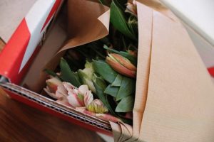 Bloomsy Box: For the Love of Flowers - A Design Story